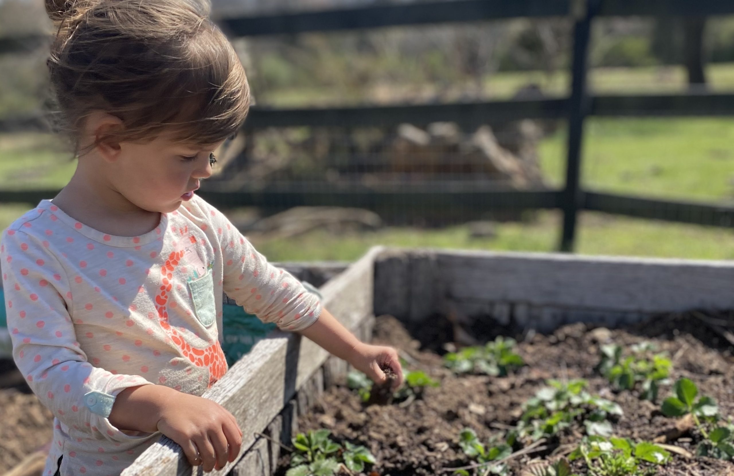 The Compass Center Foundation